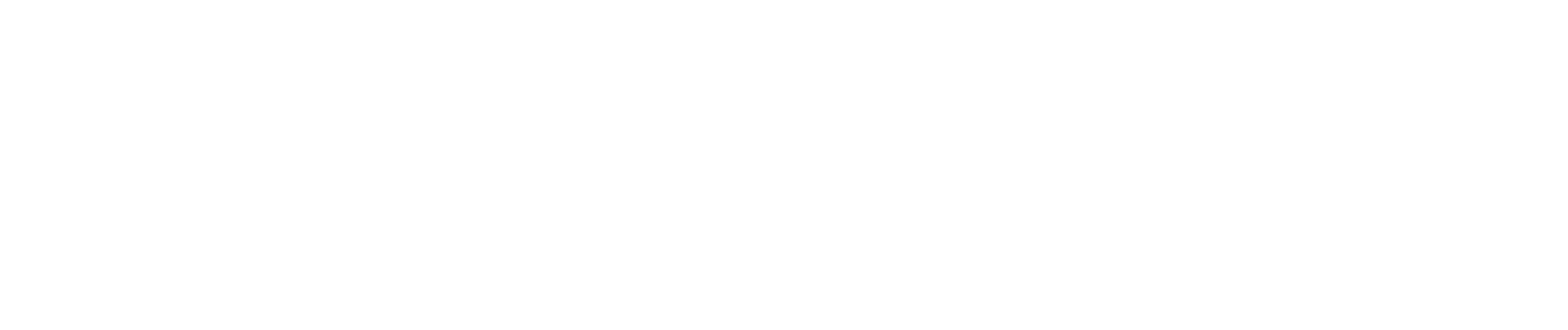 BJJ Terms | A Glossary of Terms | Jiu Jitsu World